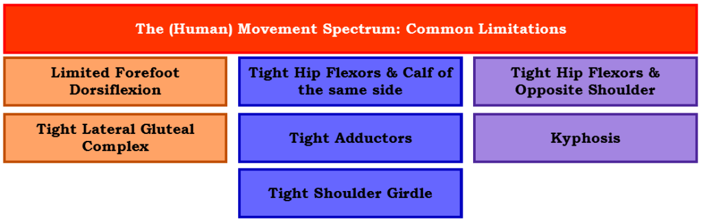 The (Human) Movement Spectrum – Boot Camp & Military Fitness Institute