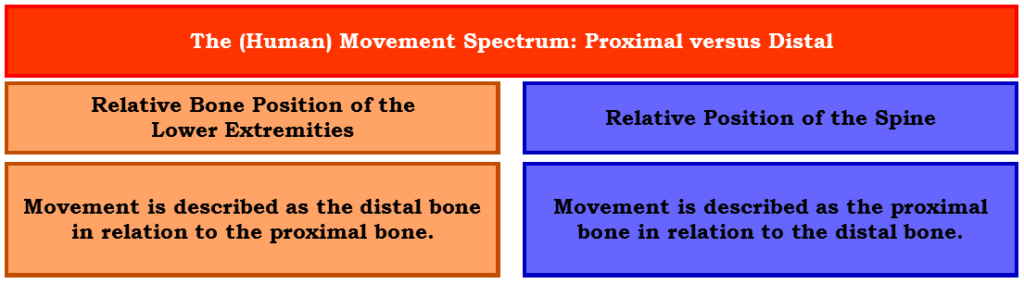 The (Human) Movement Spectrum – Boot Camp & Military Fitness Institute