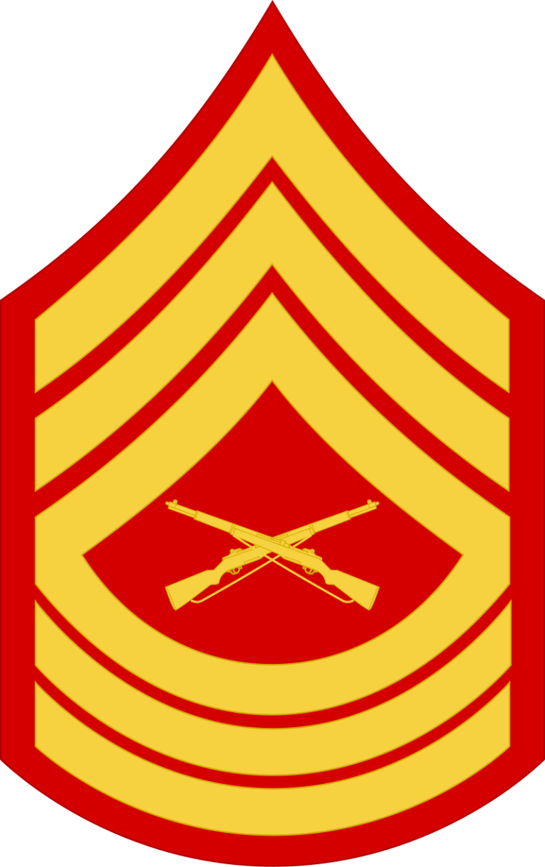 Military Ranks: Master Sergeant – Boot Camp & Military Fitness Institute