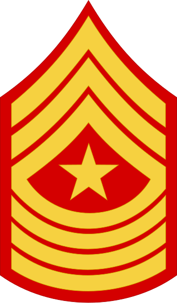 Military Ranks: Sergeant Major – Boot Camp & Military Fitness Institute