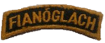 Irish Army Ranger Wing (ARW) Selection & Training – Boot Camp ...