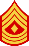Military Ranks: First Sergeant – Boot Camp & Military Fitness Institute
