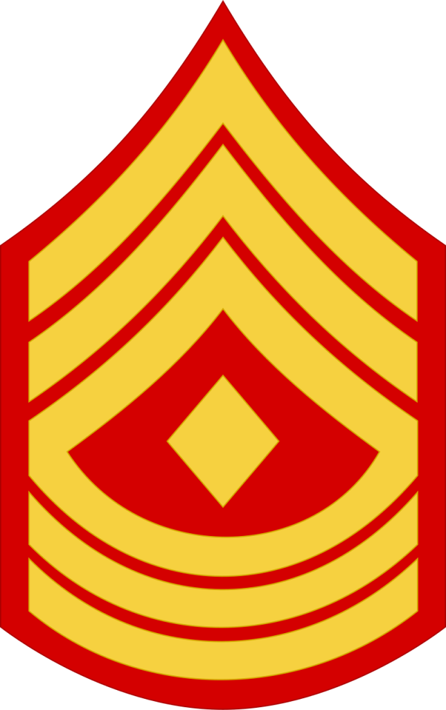 Military Ranks: First Sergeant – Boot Camp & Military Fitness Institute