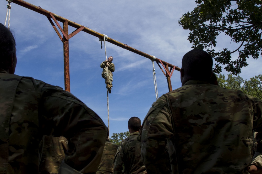 An Overview of the US Army Drill Sergeant – Boot Camp & Military ...