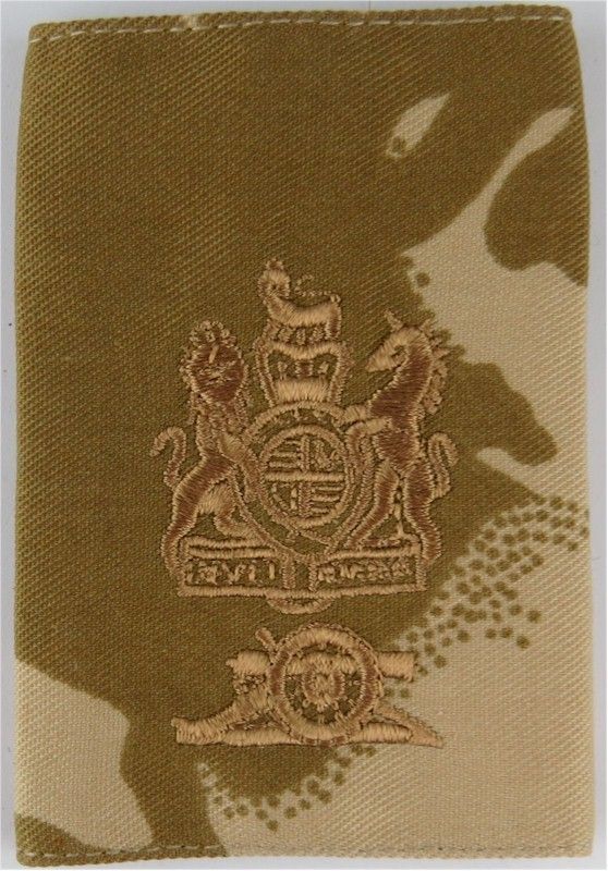 Military Ranks: Warrant Officer – Boot Camp & Military Fitness Institute