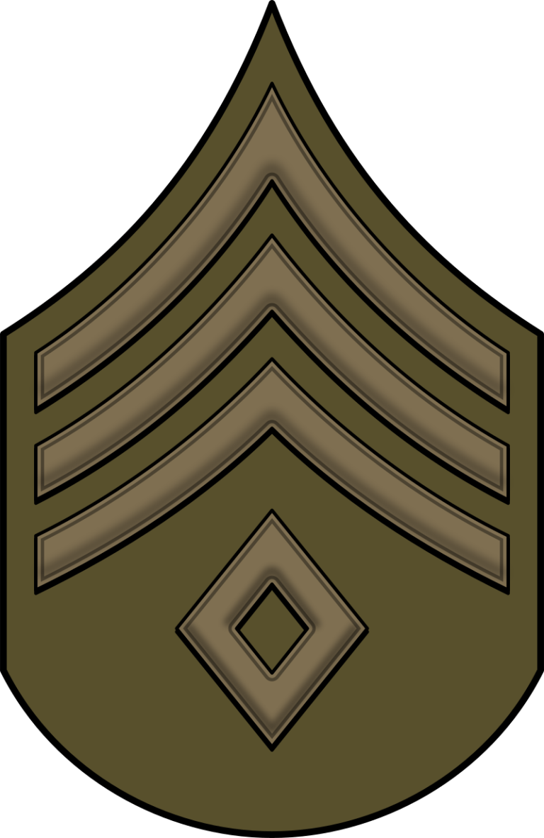 Military Ranks: First Sergeant – Boot Camp & Military Fitness Institute