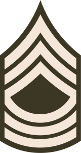 Military Ranks: Master Sergeant – Boot Camp & Military Fitness Institute